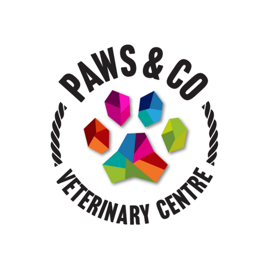 Paws & Co Group | Pet Health Care Experts